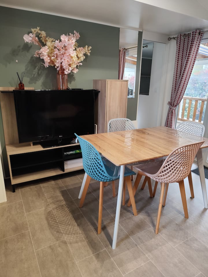 Mobil-home 4 à 6 Personnes Dans Camping 4 éToiles - Landas