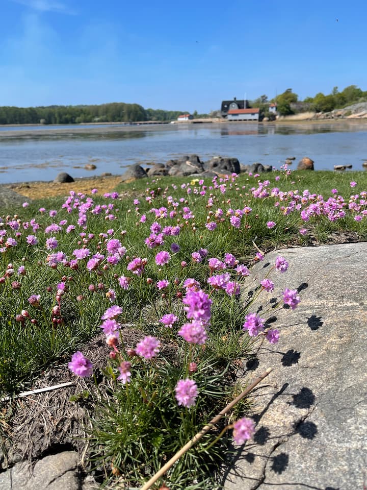 Radhus Med Närhet Till Havet - Gothenburg