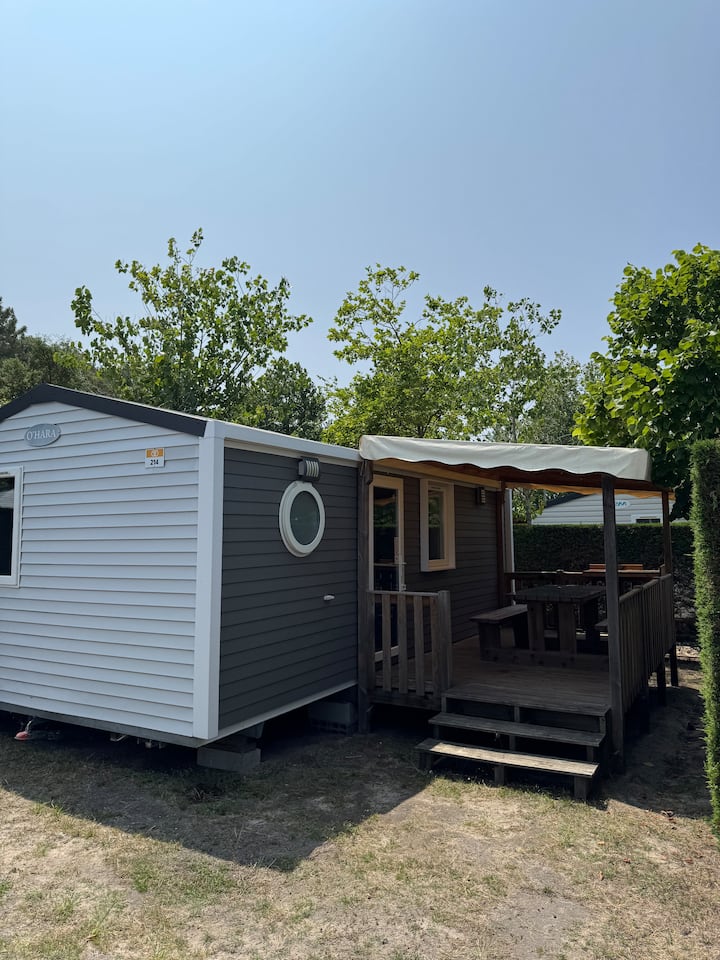 Chalet Confort Xl 4-6 Personnes Avec Terrasse - Messanges