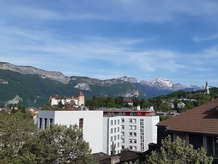 Cœur De Ville  Garage  Spacieux  Vue Splendide - Annecy