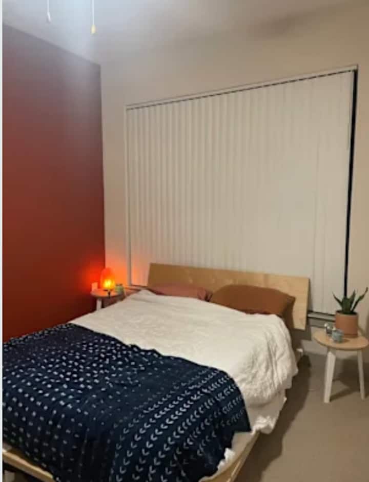 Modern Art Apt Near Duke, Trails, And Stadium! - Durham, NC