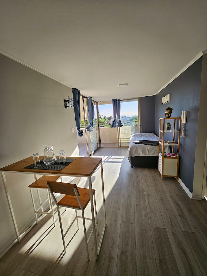 Departamento, Santiago Centro Con Piscina. - Chile