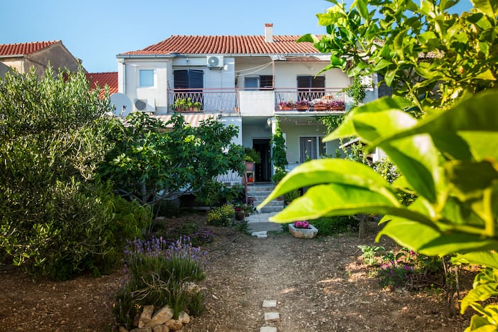 Apartments Teta Eni Komiza-apartment Falkusa - Vis