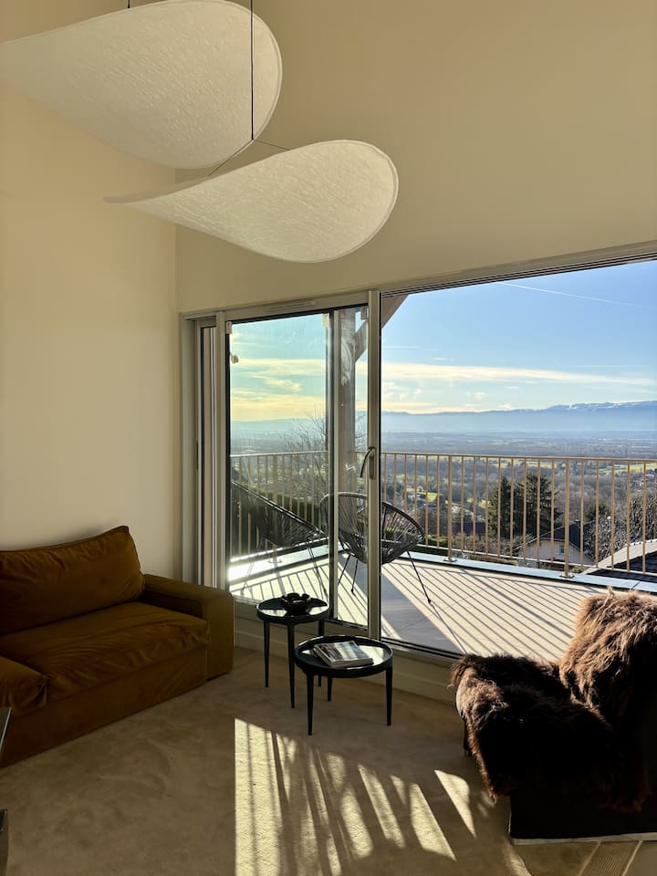 Maison D'architecte 240m2 Proche Frontière Suisse - Annemasse