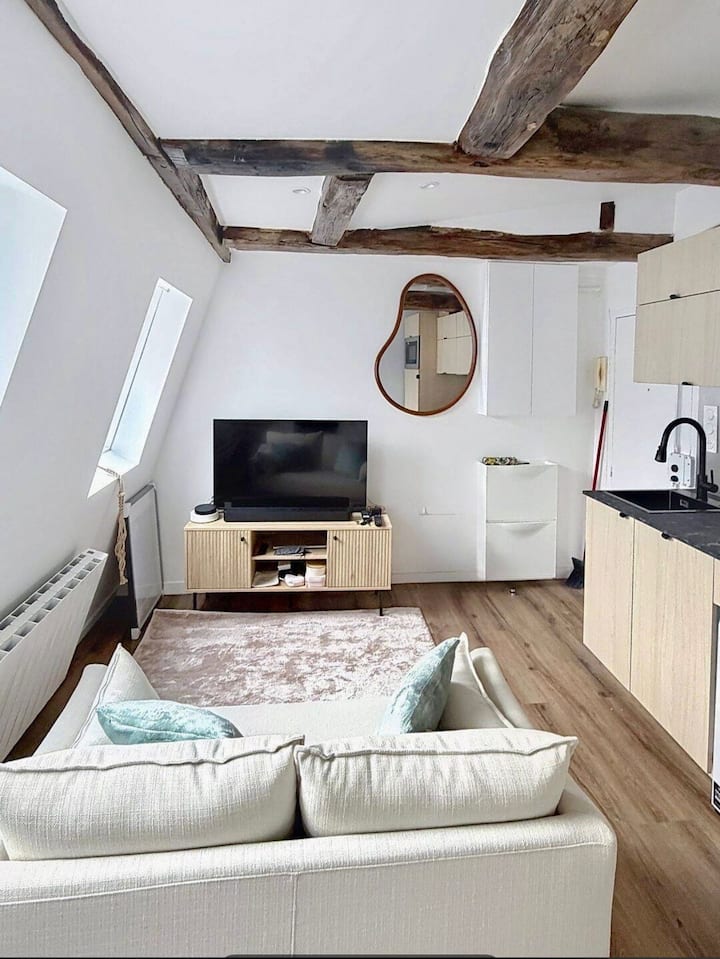Cosy And Bright Studio Getaway In Center Paris - Paris