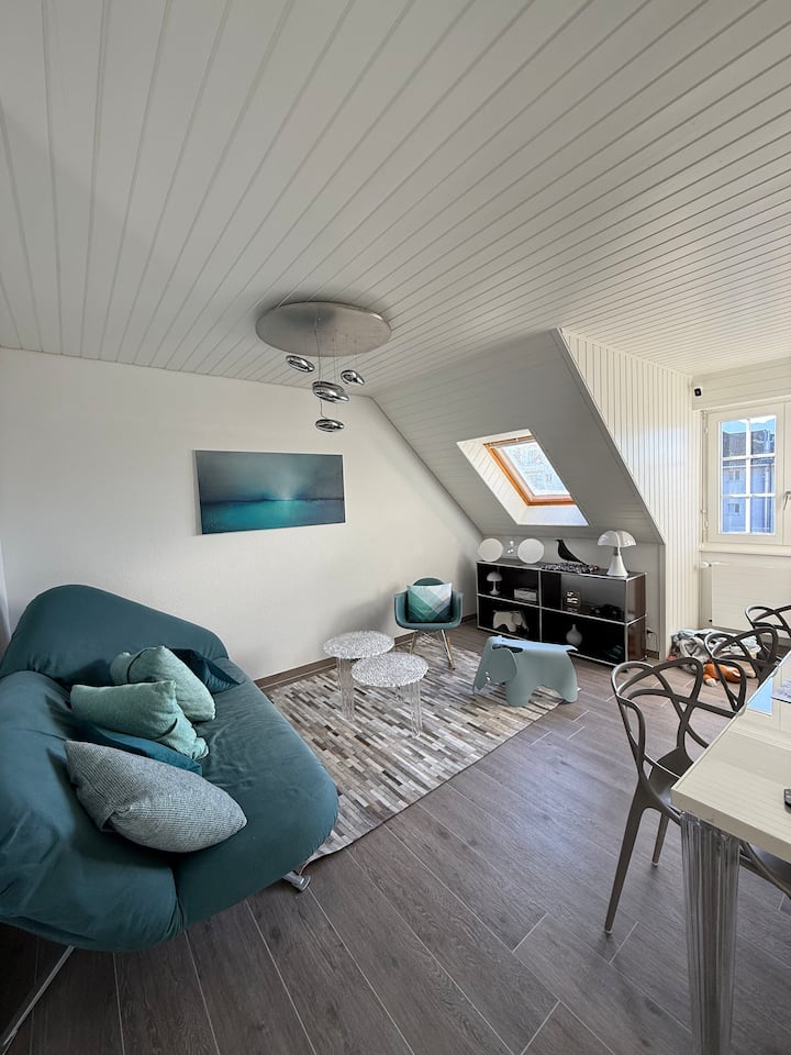 Attique Contemporain à 50m Du Lac - Vevey