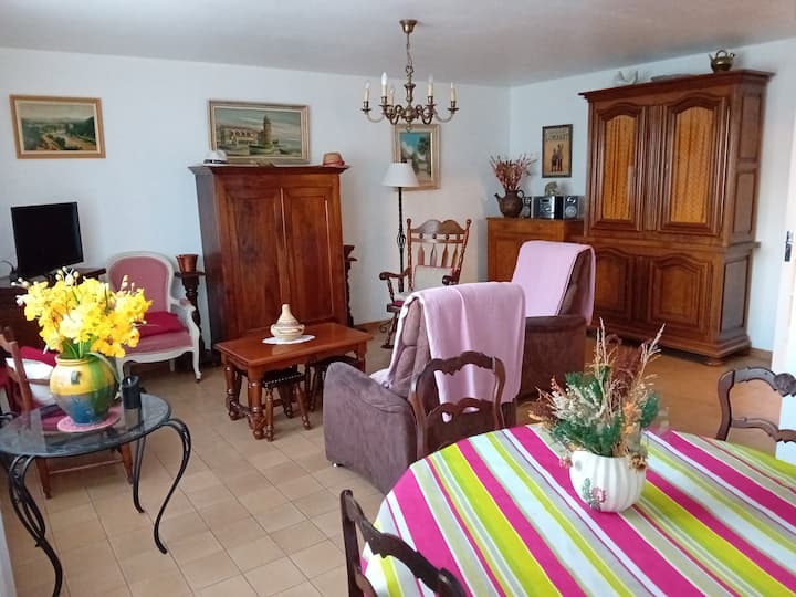 Ceret Centre Appartement Bien Situé 2 Chambres. - Céret
