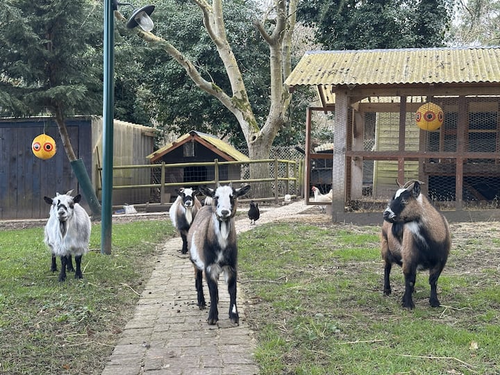 La Villa Madeira - Meulan-en-Yvelines