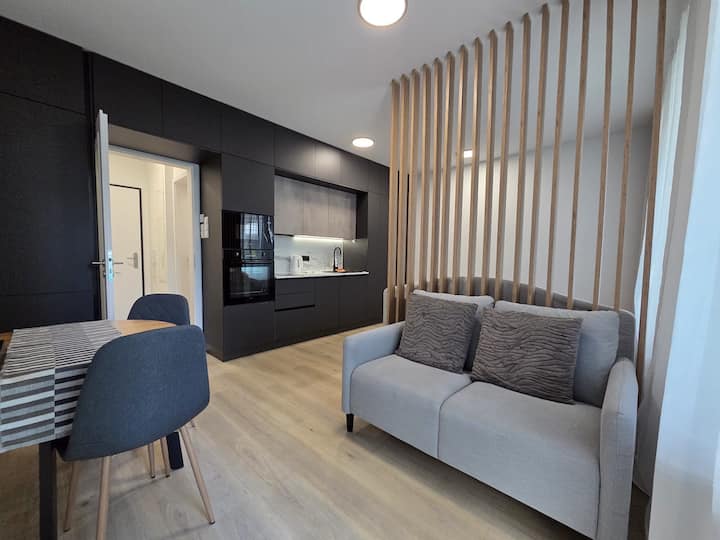 Apartment 1kk New Building Praha 3 ŽIžkov - Praga