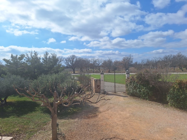 Grand Appartement Au Milieu Des Chênes Truffiers - Moustiers-Sainte-Marie