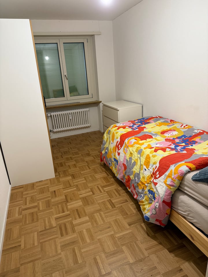 Shared Apartment 2min.vom Luzern Bahnhof - Lucerne