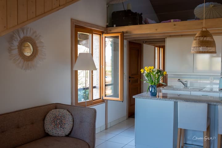 Studio Duplex Indépendant En Campagne Genevoise - Annemasse