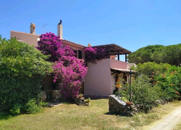 Appartamento Sardegna A Due Passi Dal Mare - Posada