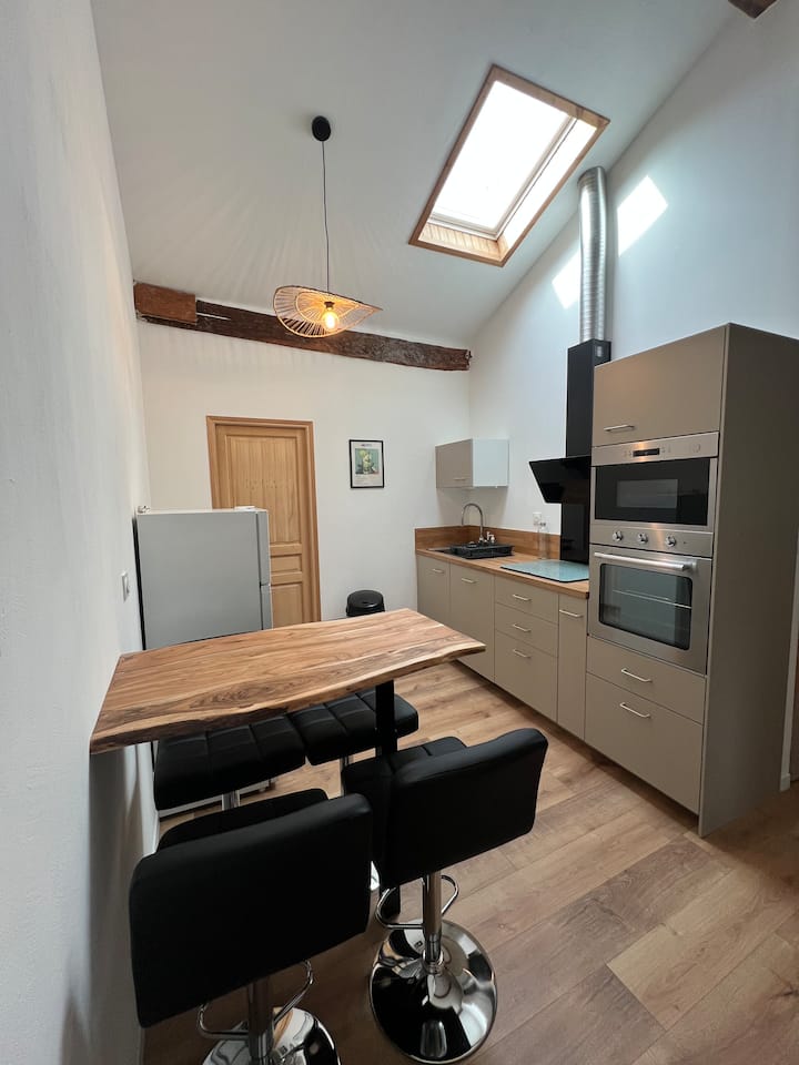 Appartement Au Cœur Du Centre-ville De Mirepoix. - Mirepoix