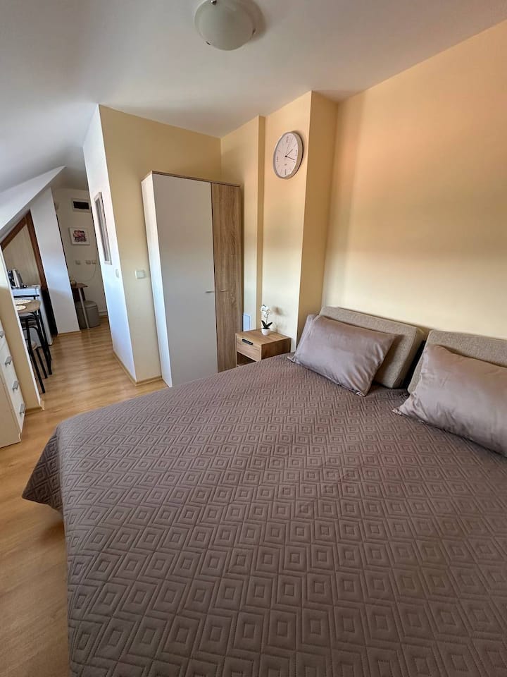 Студия с видом на горы/парковка/900м от подъемника - North Macedonia