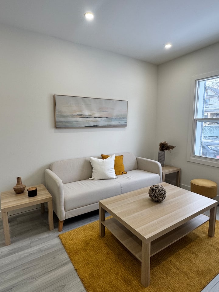 Bright And Modern 1bd Near Lhsc/uwo - London, Ontario