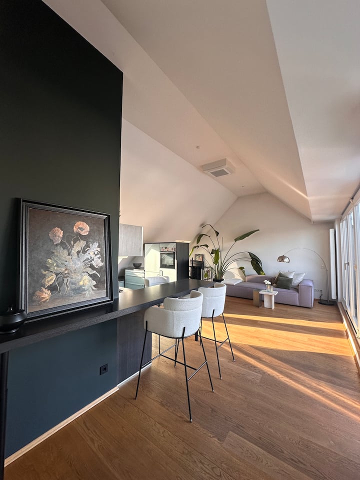 Stylish Penthouse Oasis With Large Terrace - Düsseldorf