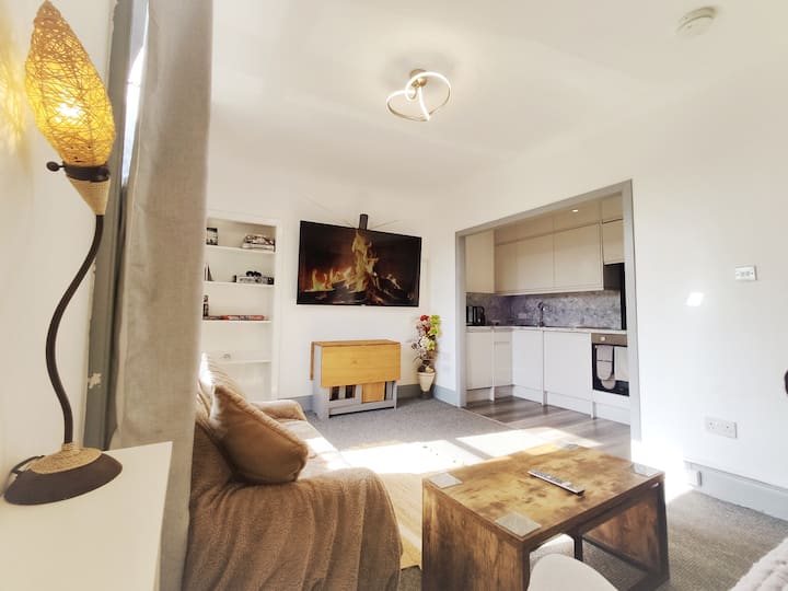 Football Stadium Apartment Dundee - Dundee