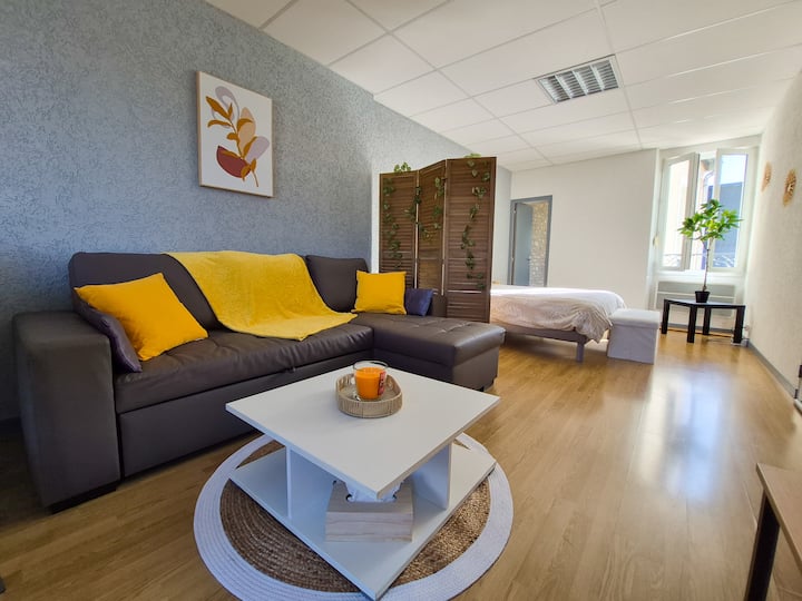 Le Cocon Des Voyageurs - ibis Chateauroux