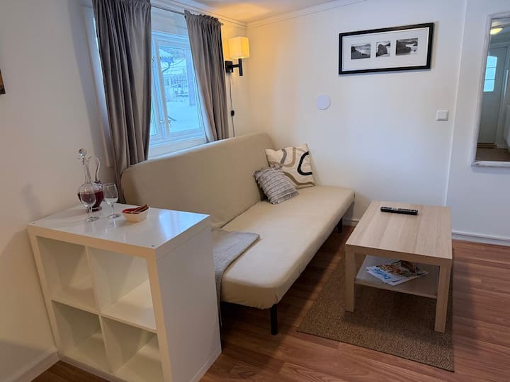 Cozy & Newly Renovated Studio Near Central Umeå - Umeå