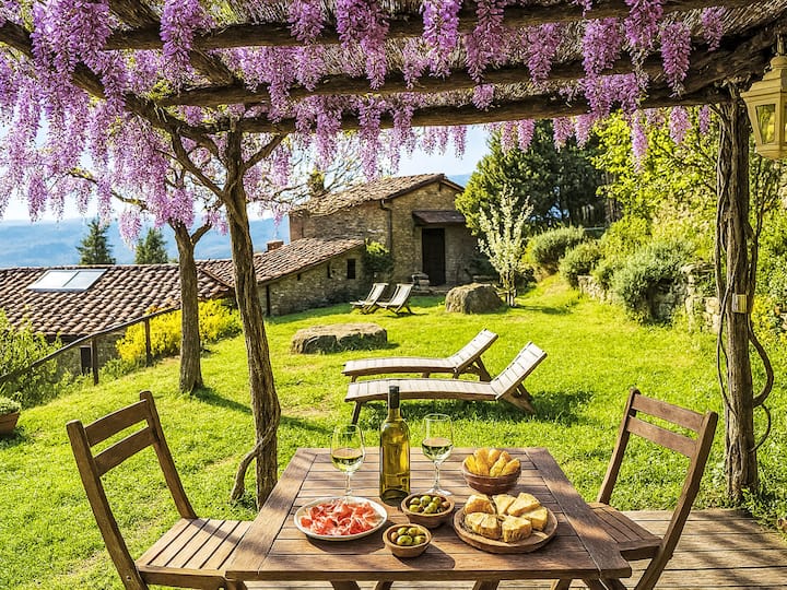 Il Canto Dei Merli By Interhome - Tuscany
