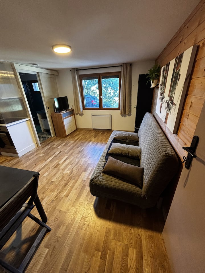 Studio Cosy Avec Vue Exceptionnelle Chartreuse - Les 7 Laux