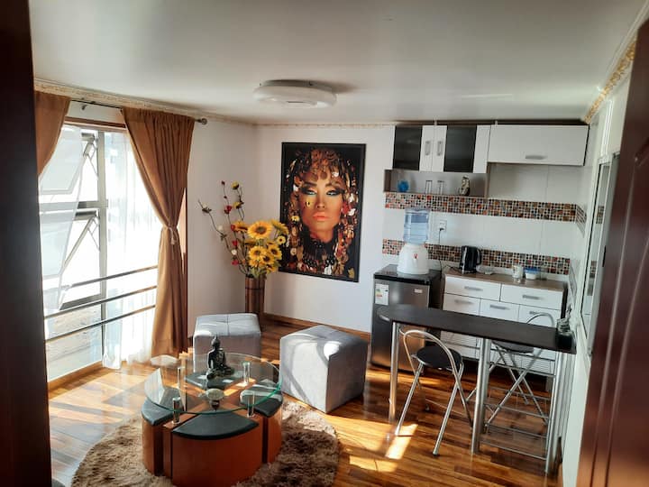 Acojedor Departamento Tipo Loft
 (4 Unidades) - Alto Hospicio