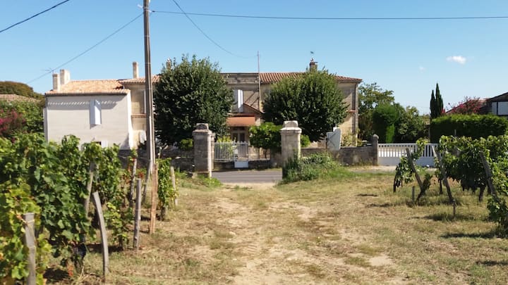 Appartement Dans Maison Girondine à Saint Emilion - Saint-Émilion