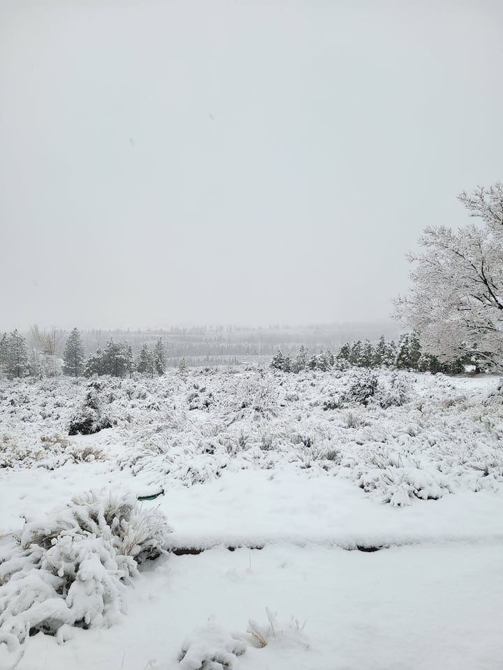 Markleeville Cozy (Yet Big) Quarters - Grover Hot Springs State Park, Markleeville
