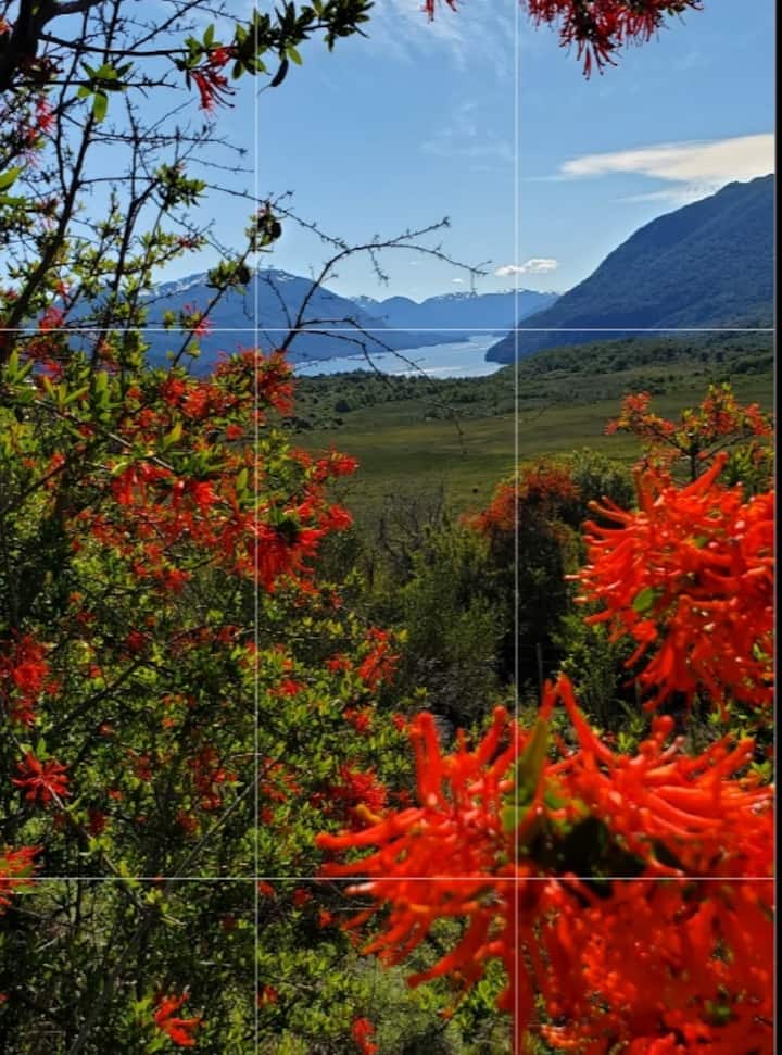 Entre Notros - San Martín de Los Andes