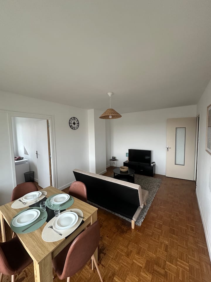 Lumineux Appartement à Bron - ibis Lyon Est Bron