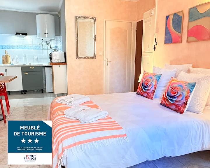 Studio Le Pastel Du Vieux Blois - Hypercentre - 3* - Blois