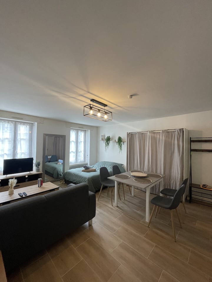 Cosy & ÉLégant, En Plein Coeur Du Centre Ville - Laval, France