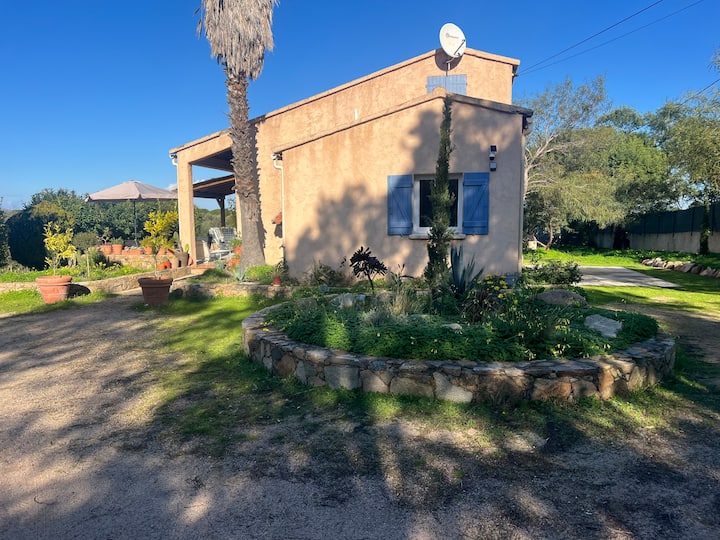 Villa 3 Chambres Avec Grand Jardin - Calvi