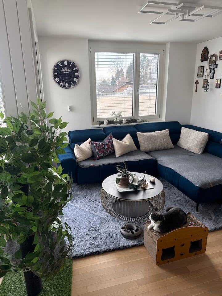 Premium Moderne 3-zi-wohnung In Begehrter Seenähe. - Bregenz