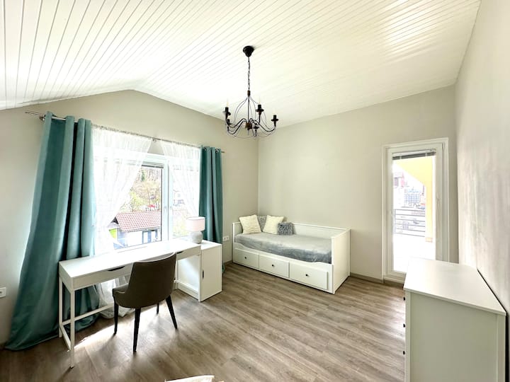 Sunny Room With A Big Terrace For One Person - Ljubljana