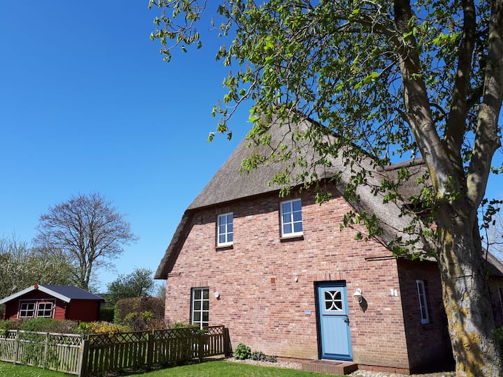 Kastanienhof Föhr - Utersum