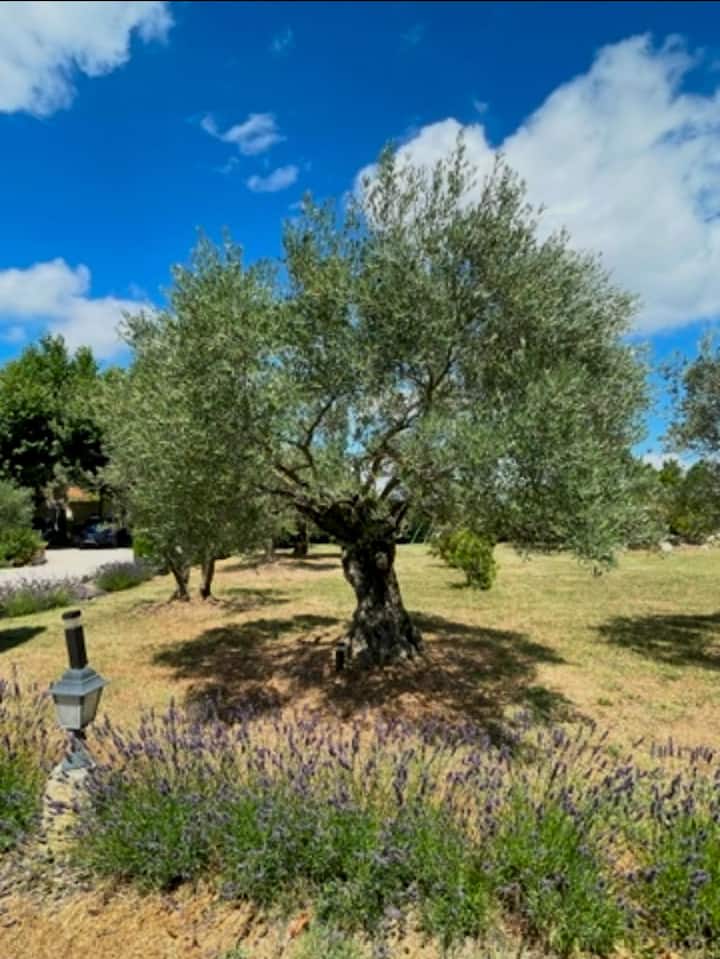 Chambre "Reinette" Au Calme - Parc Spirou - Monteux