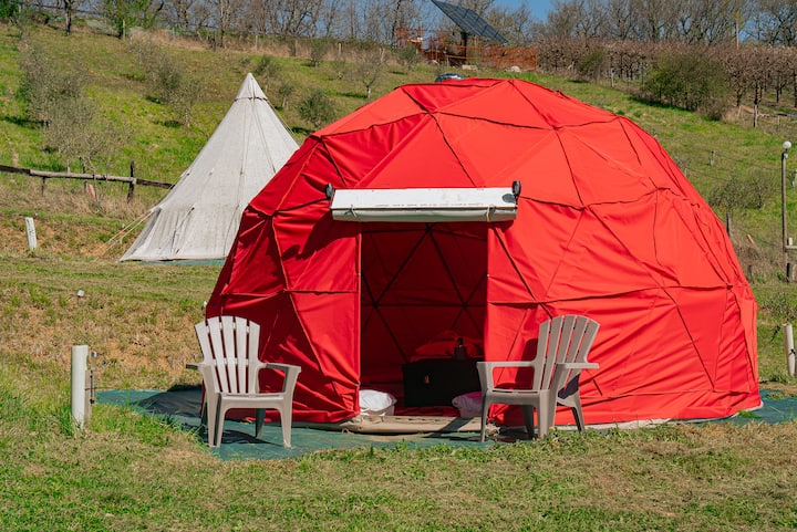 ÉCo-lieu - 40 Lits - Cadre Naturel Et Authenticité - Montauban