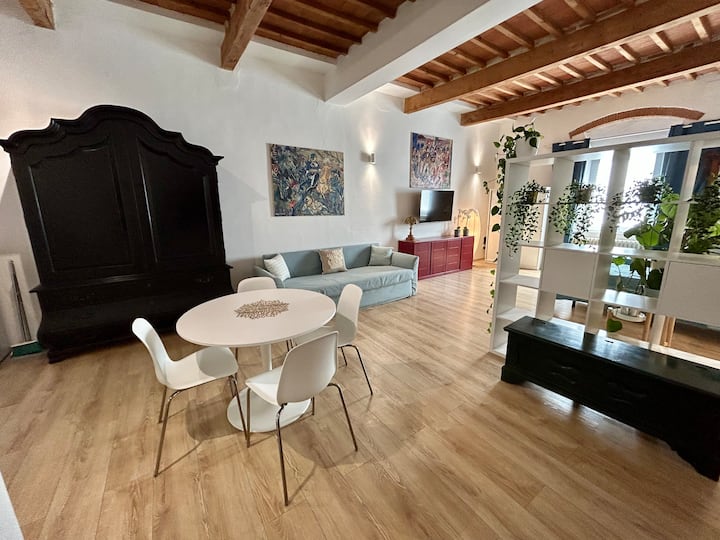 Turchese Suite Appartamento Elegante Con Terrazza - Pisa