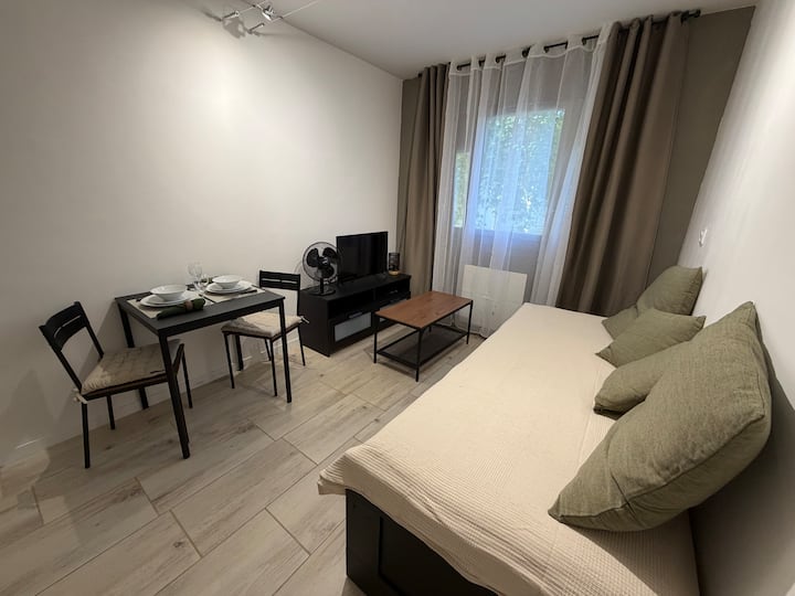 Le Nid Du Voyageur  Studio Au Pied De La Gare - Rumilly