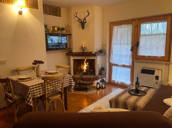 Relax E Silenzio Nei Monti Simbruini
Vista Bosco - Monte Livata