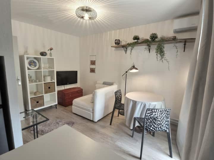 Charmant T2 Tout Confort/climatisé/piscine/tram - Montpellier