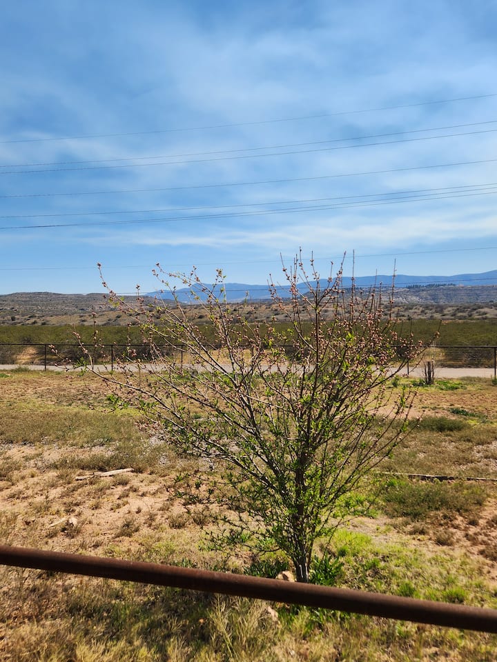 Spirit Of Strength Sanctuary - Cottonwood, AZ