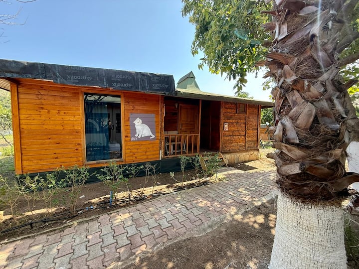 Likya Yanartaş Bungalows- Maximum 6 Kişi Konaklama - Çıralı
