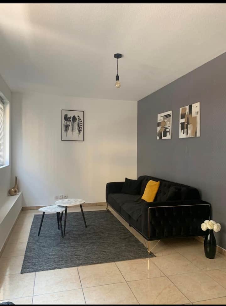 Appartement Cosy Centre Ville - Cluses