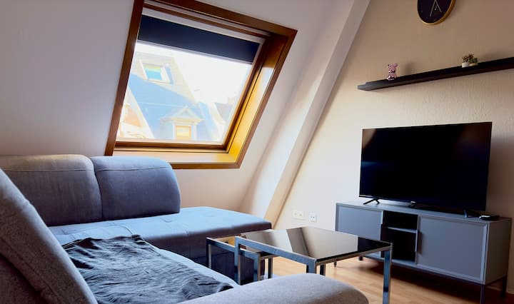 Zentral Komfortable Wohnung Mit Wohnzimmer - Halle (Saale)