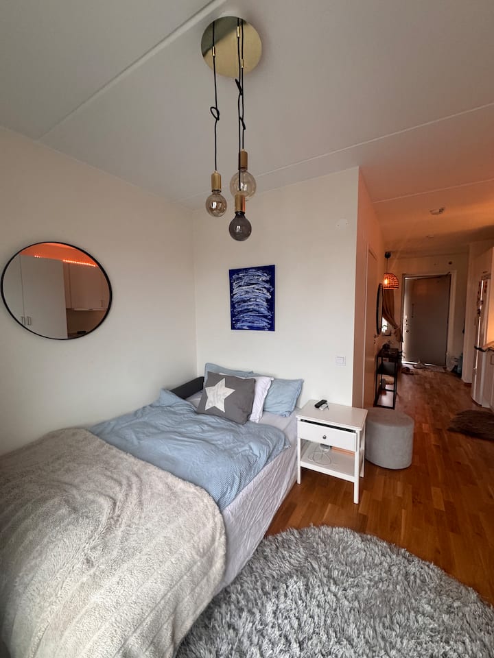Nice And Cozy Place - Sollentuna