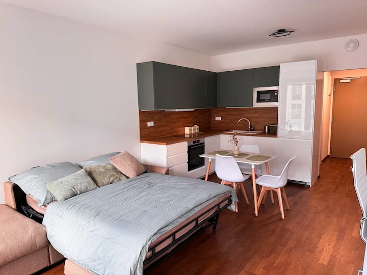 Metropolis Executive Suite, 24/7 Check In - Bratislava