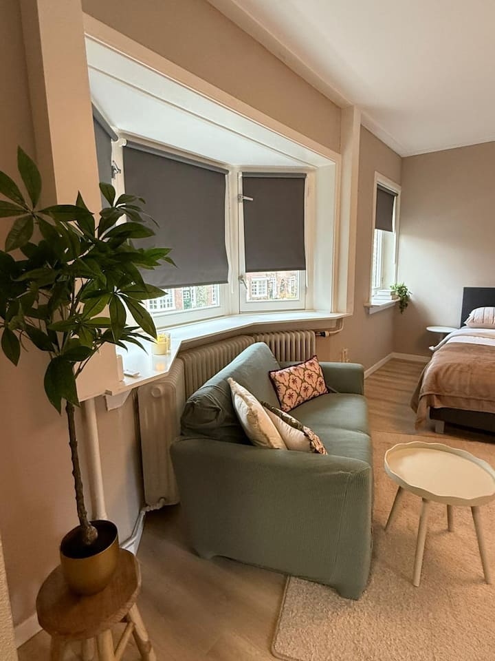 Gezellig Appartement In Eindhoven Centrum! - Eindhoven